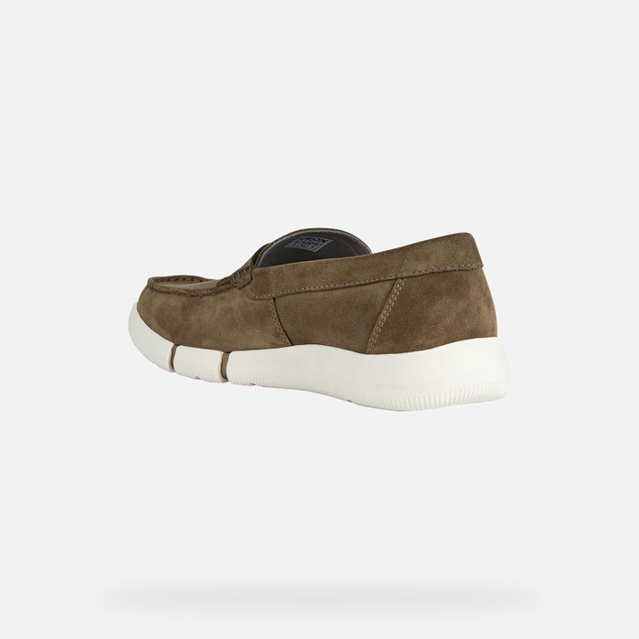 Geox® ADACTER M: Men's Musk Suede Loafers | Geox ® Online