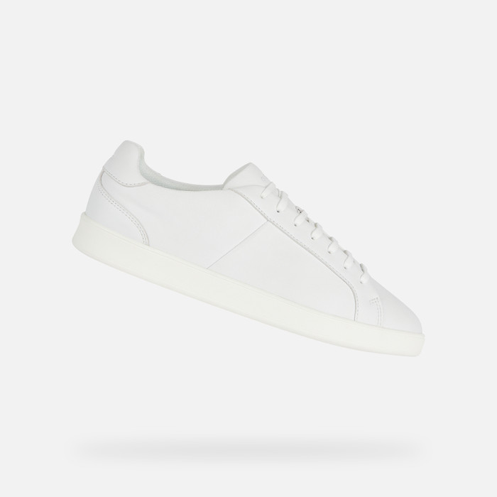 REGIO MAN - SNEAKERS from men | Geox